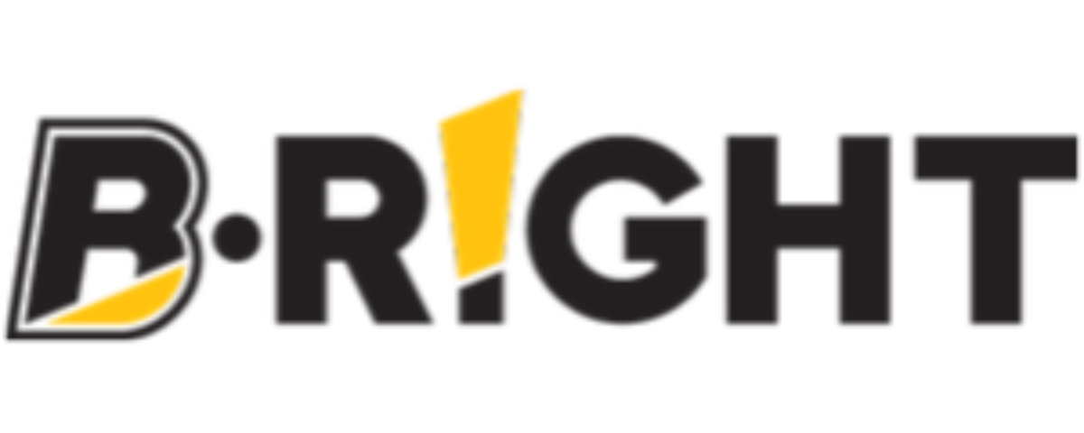 Дистрибьюторская компания B-right