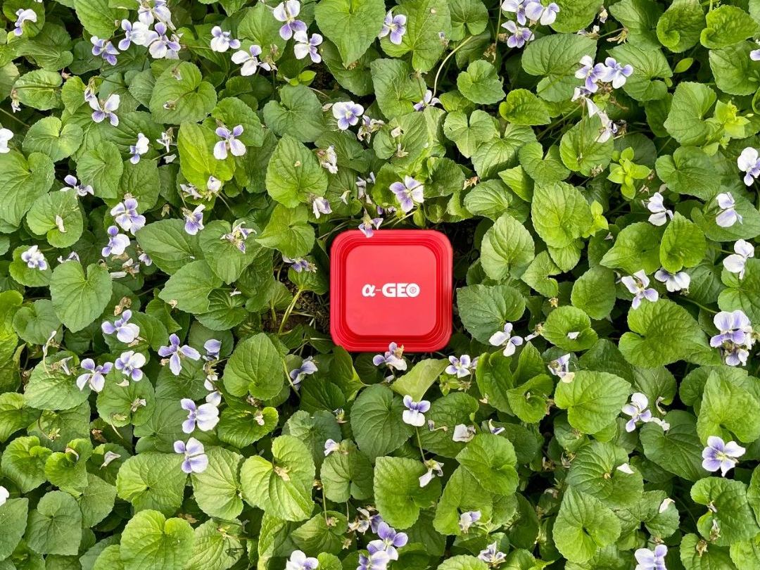 alphageo.pro - Главная