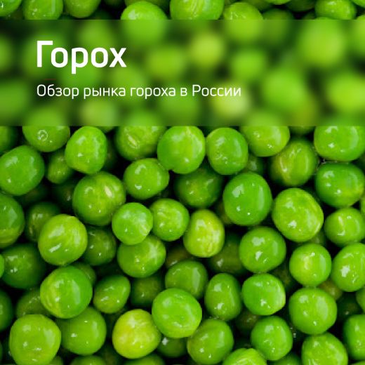 Обзор рынка гороха в России