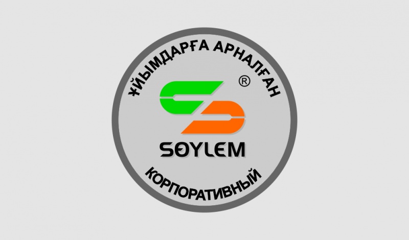 Техническая поддержка SOYLEM