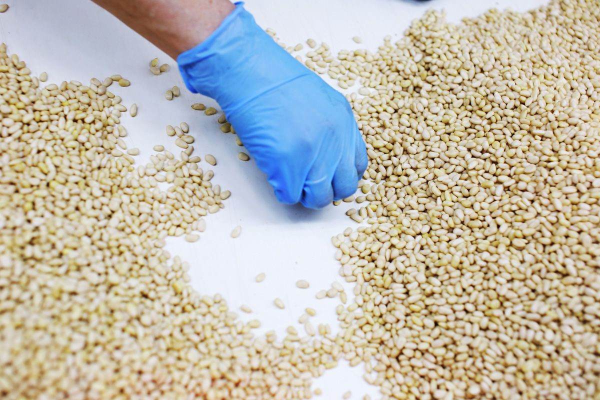 nutco.ae