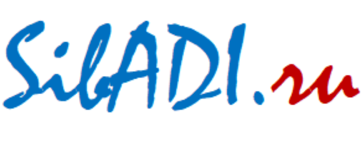 ЧПОУ "Сибирский Автомобильно-Дорожный Институт"