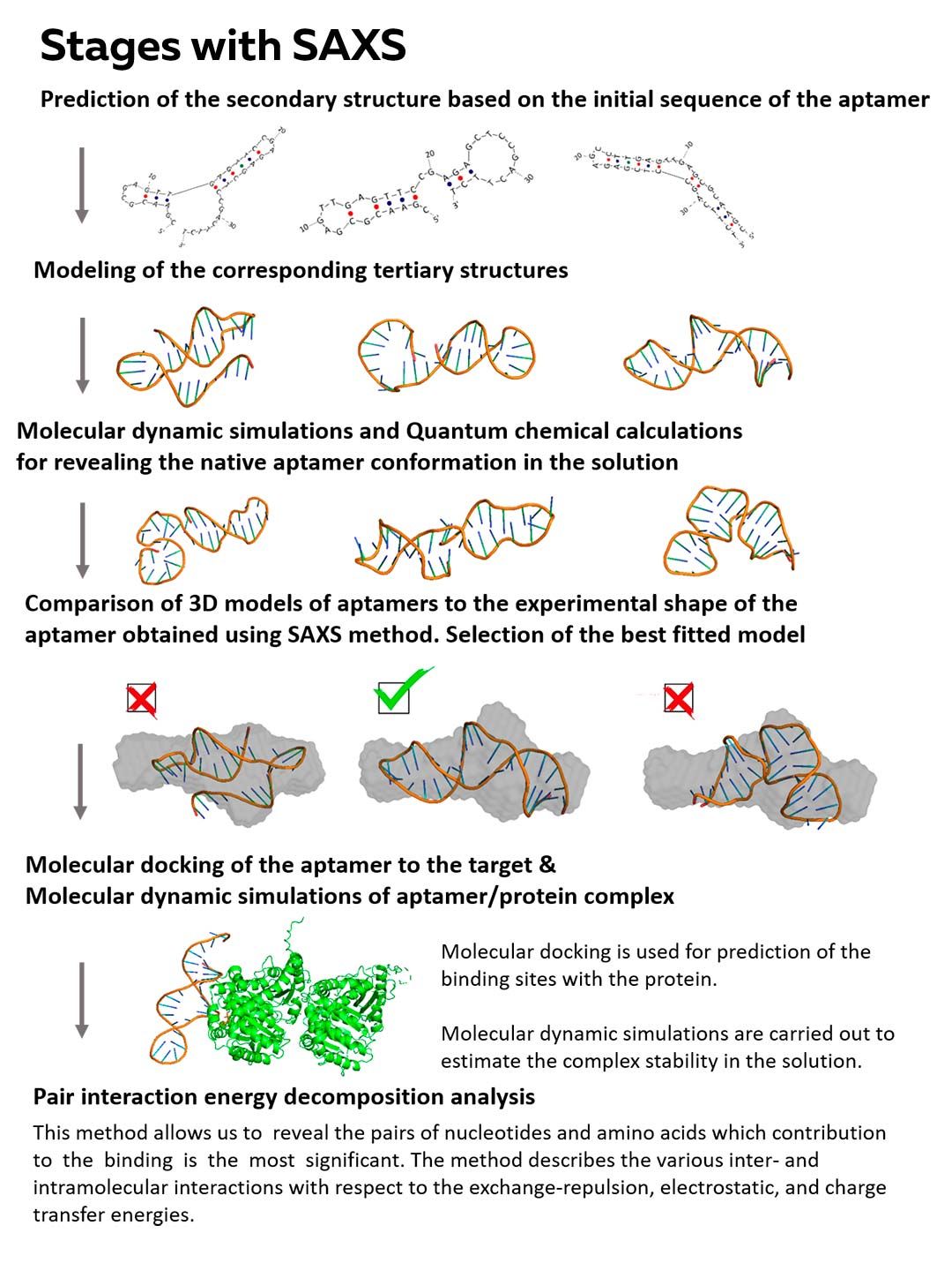 Aptamer Design And 3d Structure